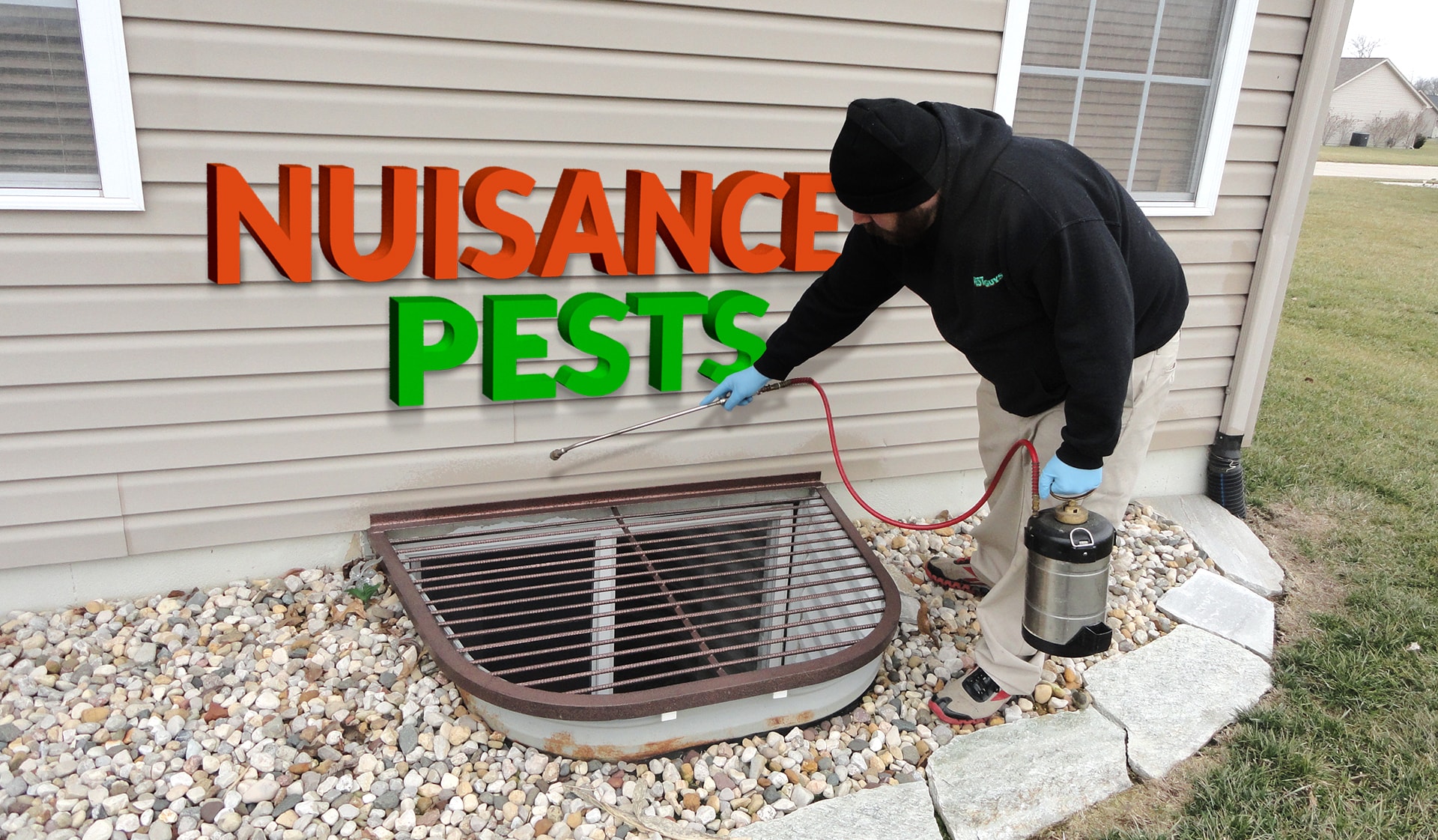 The Pest Guys - Nuisance Pest Control Service